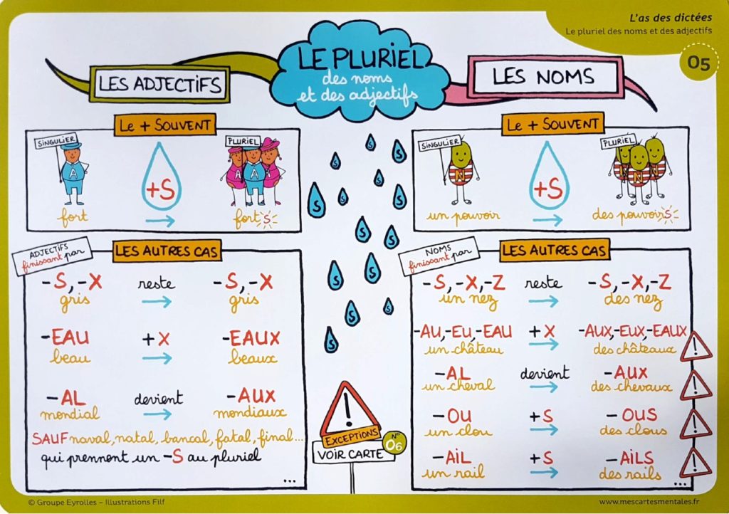 Le pluriel et le féminin des adjectifs – Ecole Primaire Jeanne d'Arc ...