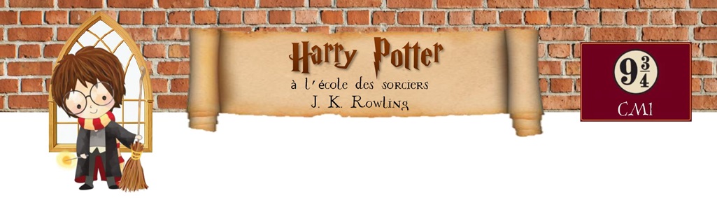 Séquence complète Harry Potter à l’école de sorciers + séances ...