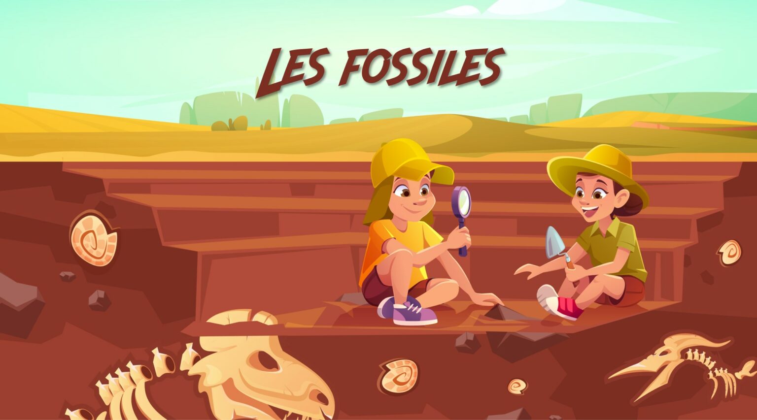 Les fossiles – Ecole Primaire Jeanne d'Arc – Pacy-sur-Eure