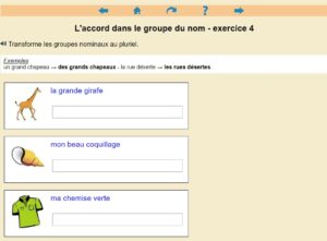 Le groupe nominal – Ecole Primaire Jeanne d'Arc – Pacy-sur-Eure